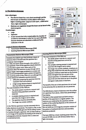A Level Biology - Microscopy Revision | Teaching Resources