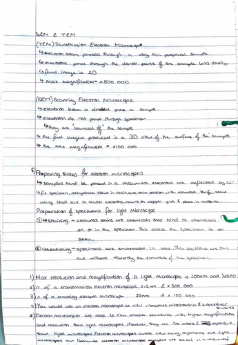 A Level Biology - Microscopy Revision | Teaching Resources