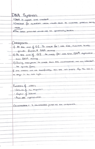 A Level Biology - Microscopy Revision | Teaching Resources