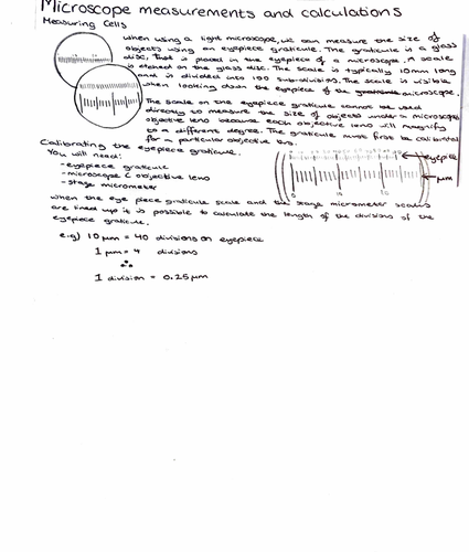 A Level Biology - Microscopy Revision | Teaching Resources