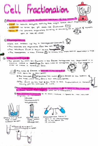 A level - Cell Structure & Fractionation | Teaching Resources