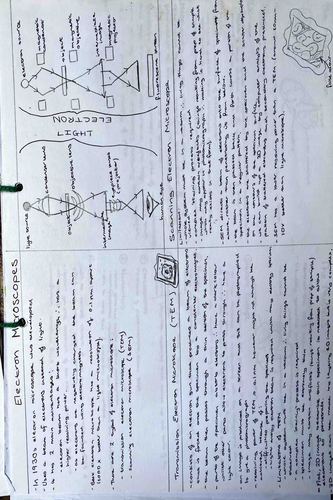 A level - Cell Structure & Fractionation | Teaching Resources