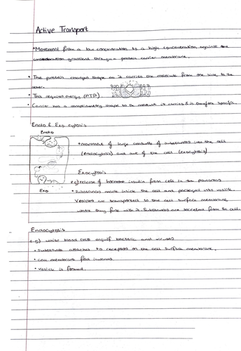 A Level - Transport Across Membranes | Teaching Resources