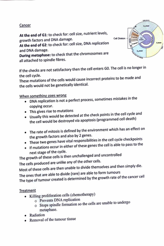 A Level Biology - The Cell Cycle | Teaching Resources