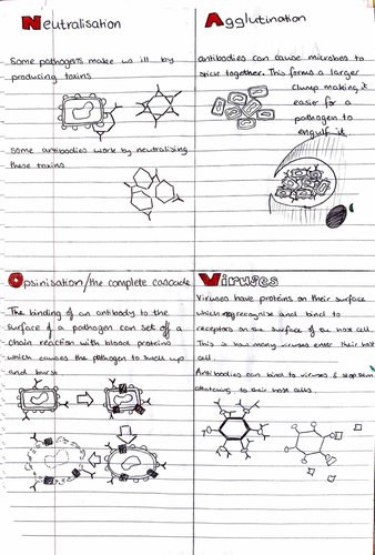 A Level Biology - Defence Mechanisms | Teaching Resources