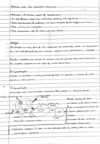 A Level Biology - Defence Mechanisms | Teaching Resources