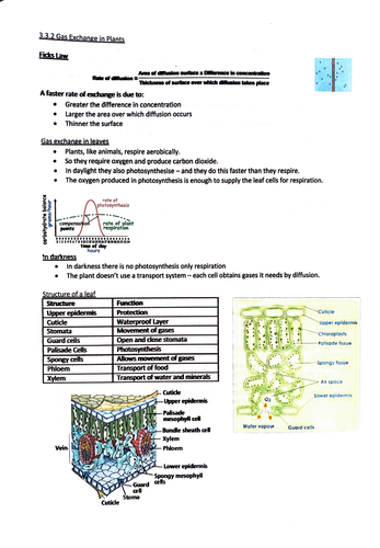 A Level Biology - Exchange Surfaces | Teaching Resources