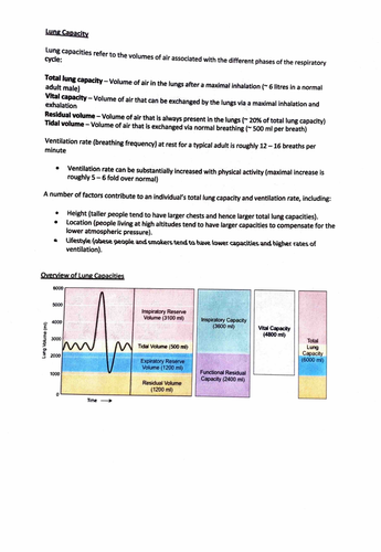 A Level Biology - Exchange Surfaces | Teaching Resources