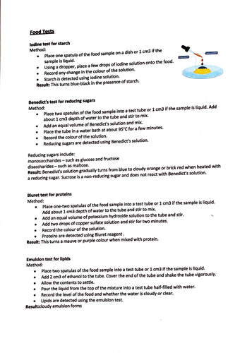 Biology - Food Tests Revision Resource | Teaching Resources