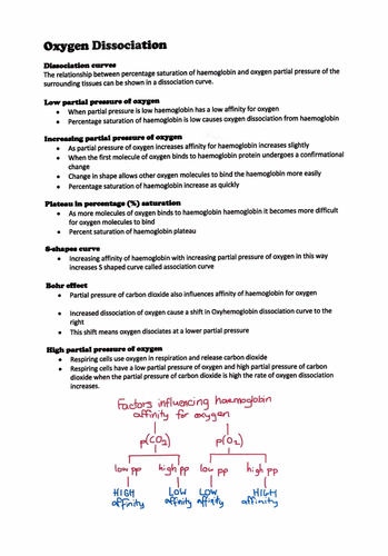 Oxygen Dissociation Curves Revision | Teaching Resources