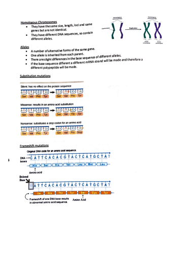A-level Biology - DNA and RNA Revision Notes | Teaching Resources