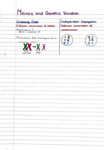 Meiosis, Genetic Variation and Mutations | Teaching Resources
