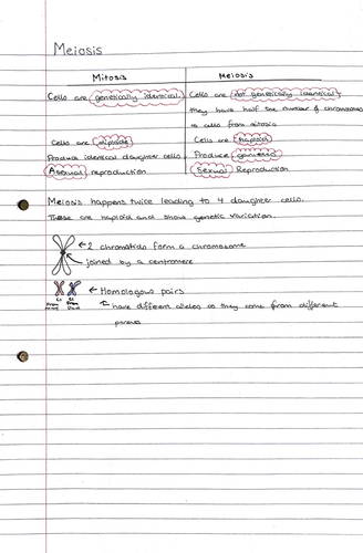 Meiosis, Genetic Variation and Mutations | Teaching Resources