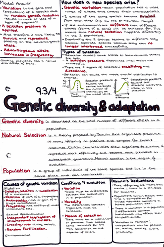 A-level Genetic Diversity Revision Notes | Teaching Resources