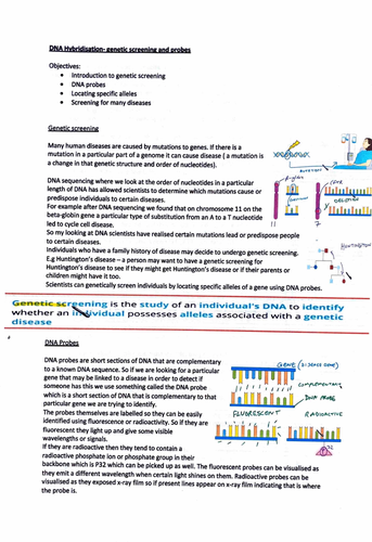A-level Genetic Diversity Revision Notes | Teaching Resources