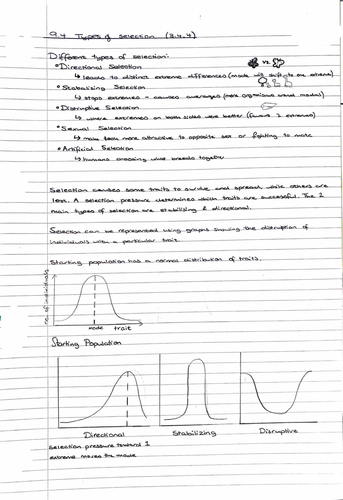 A-level Genetic Diversity Revision Notes | Teaching Resources