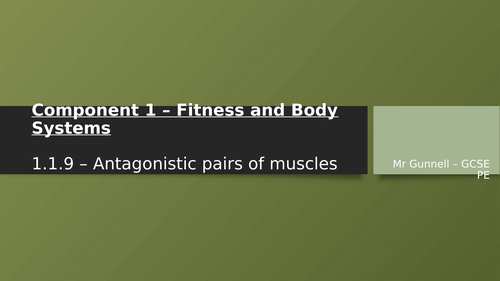 Edexcel GCSE PE -Musculo-skeletal system | Teaching Resources