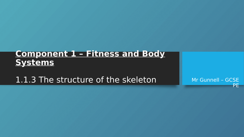 Edexcel GCSE PE -Musculo-skeletal system | Teaching Resources