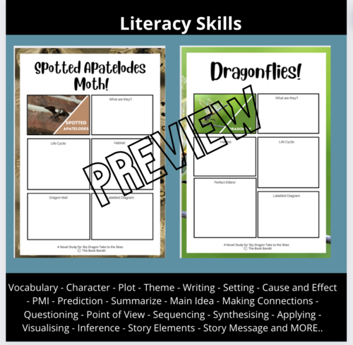 SKY DRAGON Take to the Skies by Ahn Do NOVEL STUDY and Reading ...