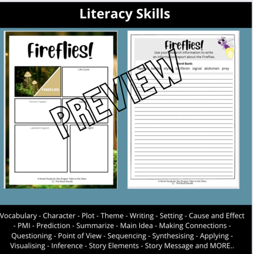 SKY DRAGON Take to the Skies by Ahn Do NOVEL STUDY and Reading ...