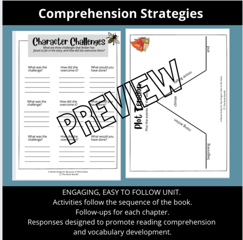 SKY DRAGON Take to the Skies by Ahn Do NOVEL STUDY and Reading ...