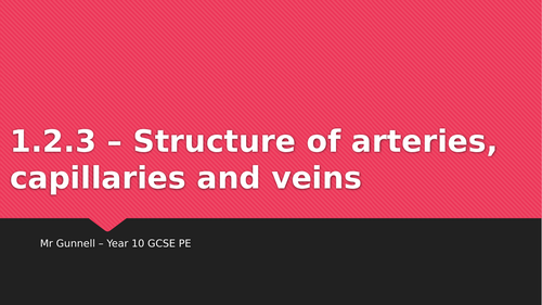 Edexcel GCSE PE - CV System Unit | Teaching Resources