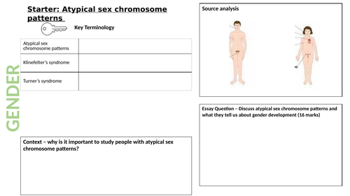 AQA Psychology Kohlberg's theory of gender development | Teaching Resources