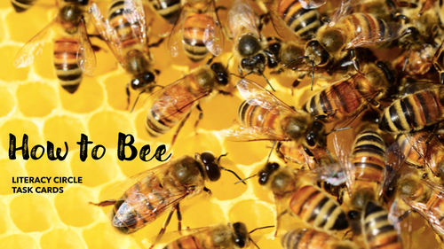 How to Bee - Bren MacDibble - Stage 2/3 Literature Circle Task Cards ...