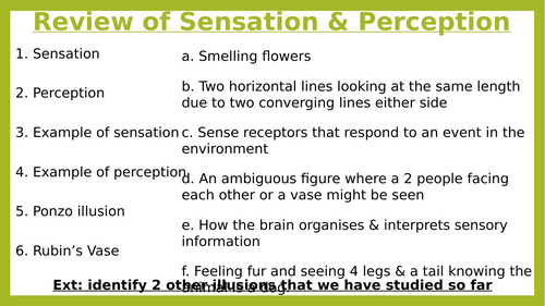 Monocular & Binocular Depth Cues (GCSE Psychology AQA) | Teaching Resources