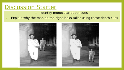 Explaining Visual Illusion (GCSE Psychology AQA) | Teaching Resources