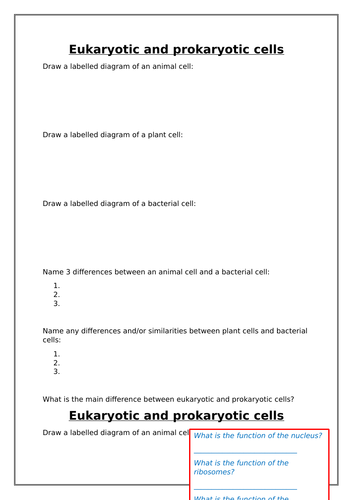 Eukaryotic and prokaryotic cells worksheet | Teaching Resources