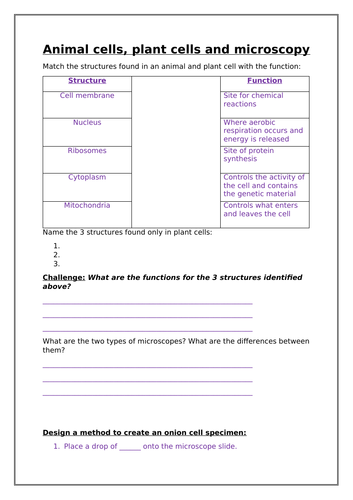 Animal cells, plant cells and microscopy | Teaching Resources