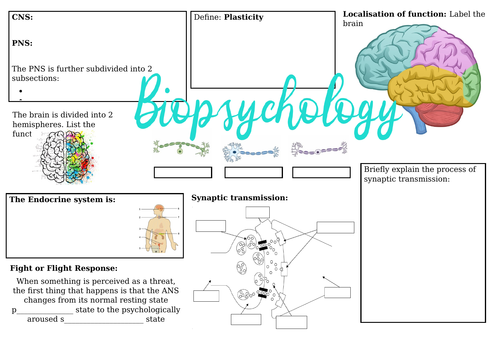 AQA Psychology Biopsychology knowledge organiser | Teaching Resources