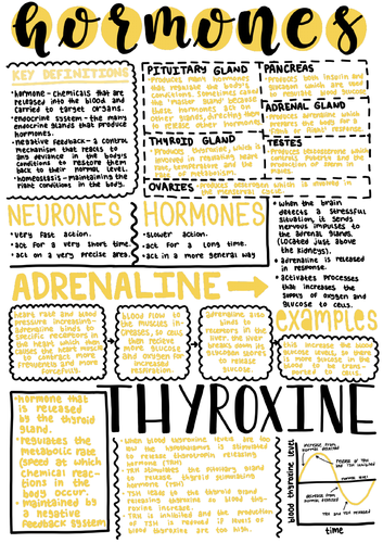 Hormones and Glands - Biology Summary/Cheat Sheet | Teaching Resources