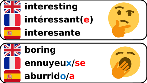 Adjectives in French and Spanish | Teaching Resources