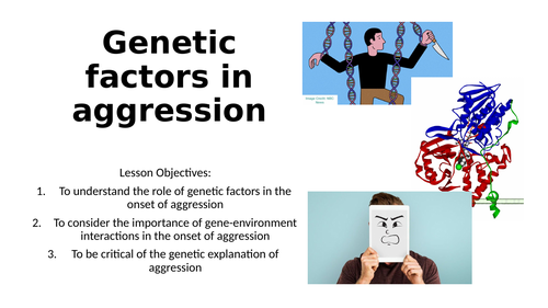 AQA Psychology genetic factors in aggression | Teaching Resources