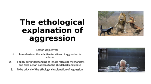 AQA Psychology ethological explanation of aggression | Teaching Resources