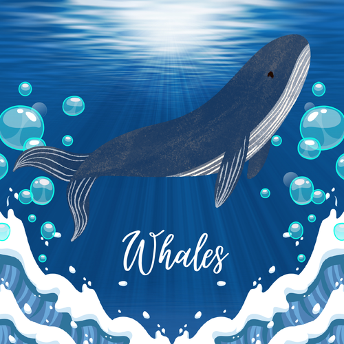 Classroom Display Resources: Under the sea theme | Teaching Resources