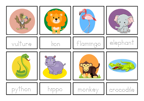 African Grasslands Animals Word Work | Teaching Resources