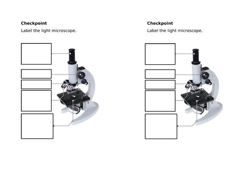 AQA GCSE Setting up light microscopes | Teaching Resources AQA GCSE Setting up light microscopes | Teaching Resources