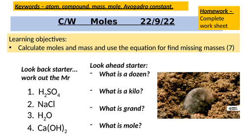 Moles introduction GCSE | Teaching Resources