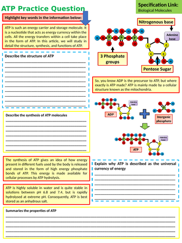 A Level Biology ATP Lesson & Activities | Teaching Resources