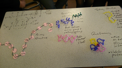 A Level Biology Protein Structure Lesson & Activities | Teaching Resources