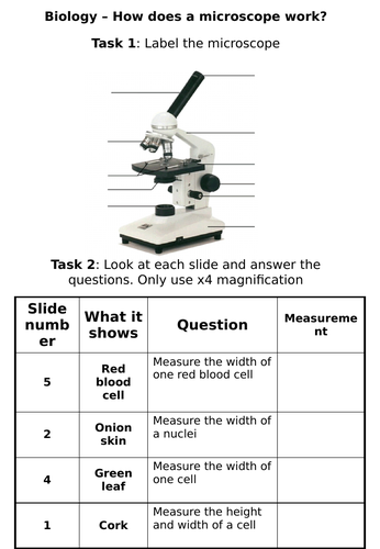 KS3 Science - Cells, Microscopes & Organisation | Teaching Resources
