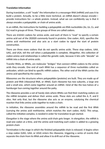 A Level Biology Protein Synthesis Lesson & Activities | Teaching Resources