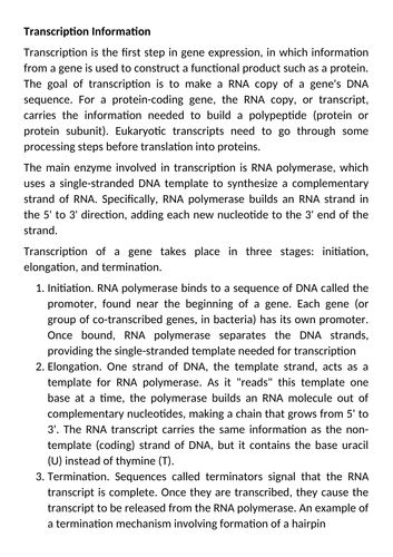 A Level Biology Protein Synthesis Lesson & Activities | Teaching Resources