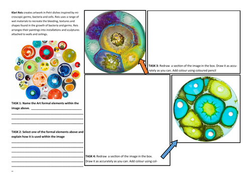 Art Cover work sheets BUNDLE (Cell Project) | Teaching Resources