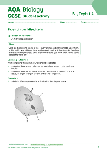 AQA B1 L1 Cell Structure, L2 Microscopy, L3 Magnification, L4 ...