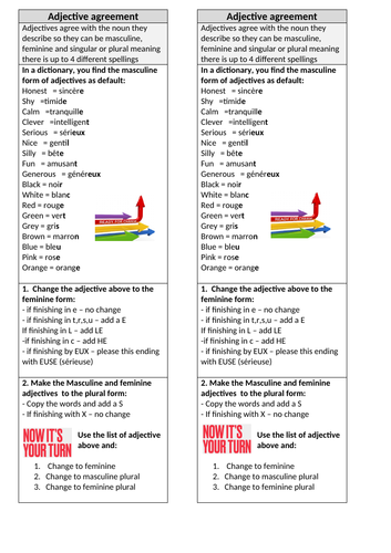 French Grammar TEACHING NOTES | Teaching Resources