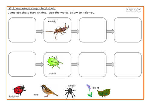 Minibeasts - science unit of work (KS1) | Teaching Resources